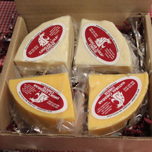 Washington State University